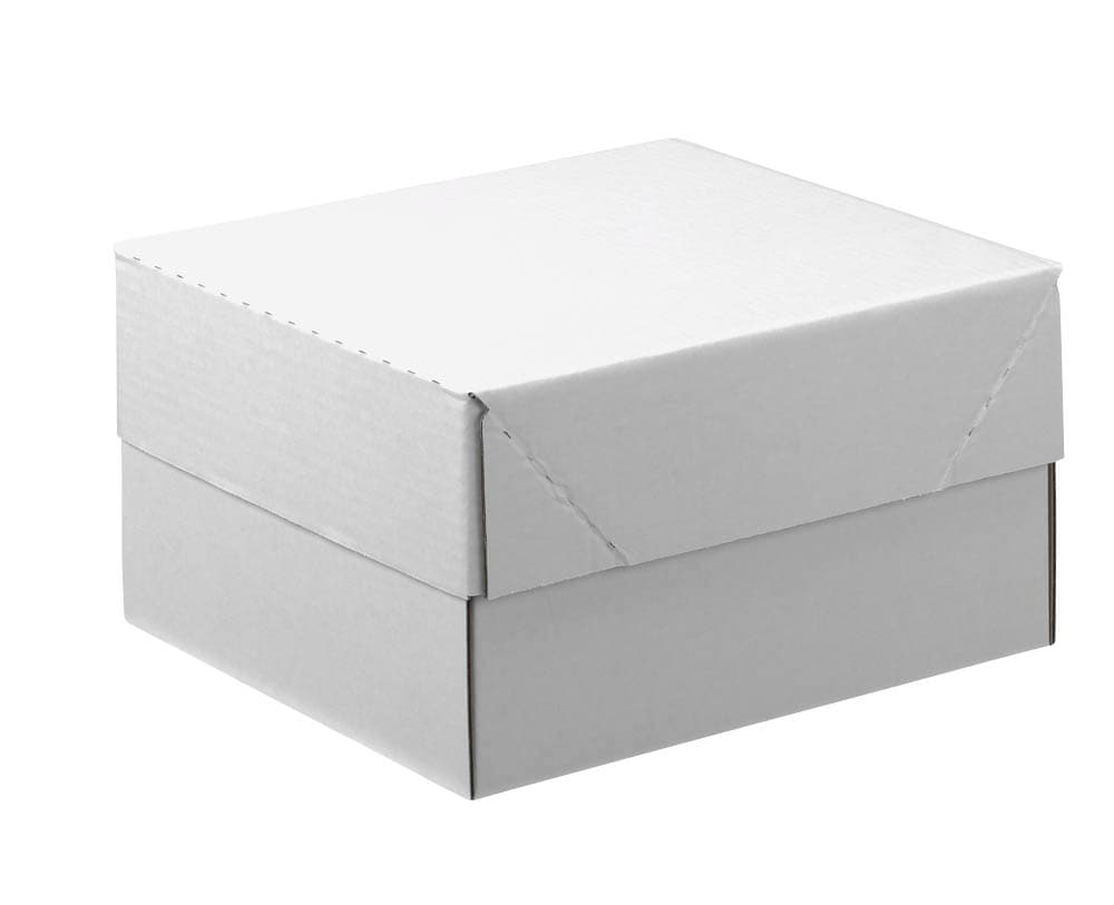 Nestler Kartons mit abnehmbarem Deckel 33,8 x 23,8 x 16,7 cm, 20 St ...